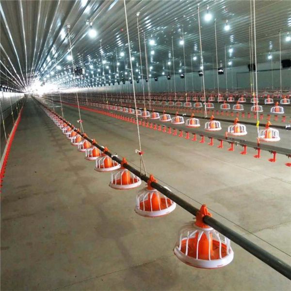 Quality Water Nipple Drinker Chicken Feeder for sale
