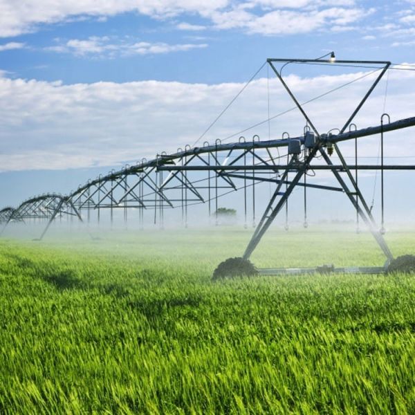 Quality Linear Agricultural Sprinkler Electric Center Pivot Irrigation System with 2000 for sale