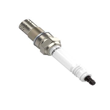 Quality Takumi Generators Spark Plug R10P3 Replace P3(30002064) Special For Jenbacher for sale