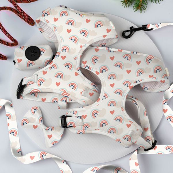 Quality Polyester Dog Leash Harness Set Personalized Dog Collar And Lead Set for sale