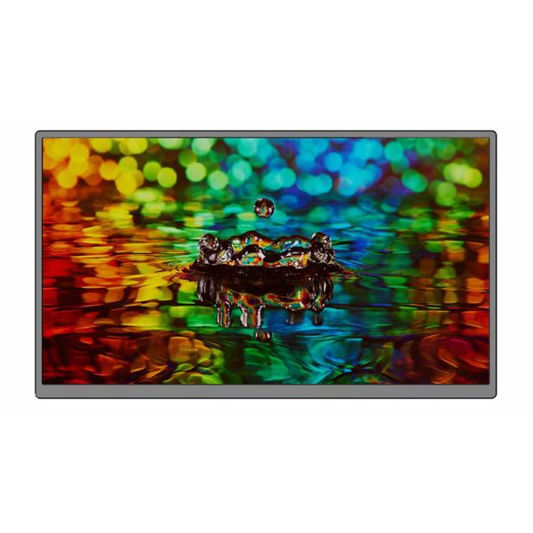 Quality 15.6 Inch Portable Touch Monitor Plastic Shell 1920x1080 IPS for sale