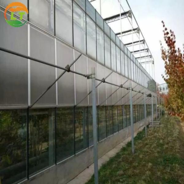 Quality Economical European Polycarbonate Greenhouse with Roof and Side Ventilation for sale