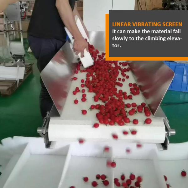 Quality Linear Automatic Filling Machine Cherry Blueberry Strawberry Tray Box Packaging for sale