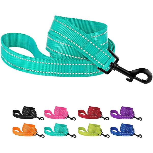 Quality Heavy Duty Nylon Dog Leash for sale