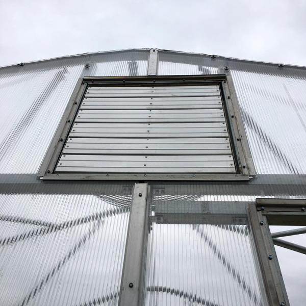 Quality Cheapest Tunnel Greenhouse agricultural single-span greenhouses accessories for sale