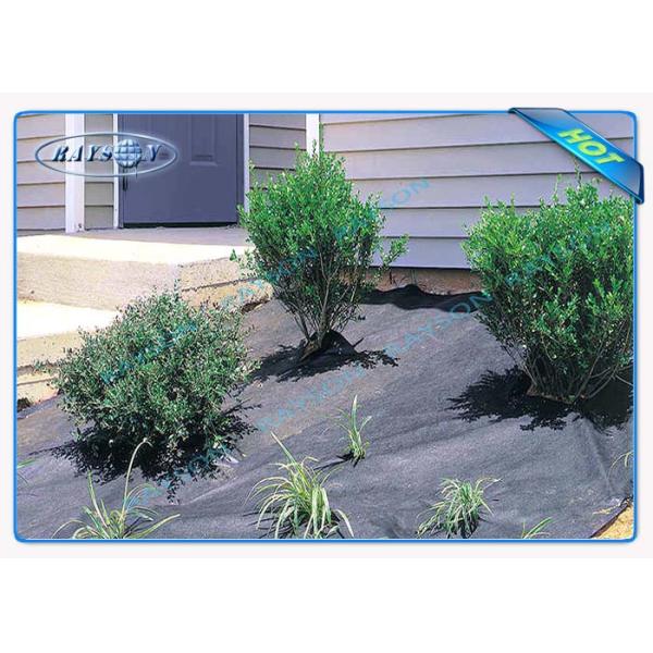 Quality Soft Feeling Polypropylene Non Woven Fabric Landscape Crop Cover for sale