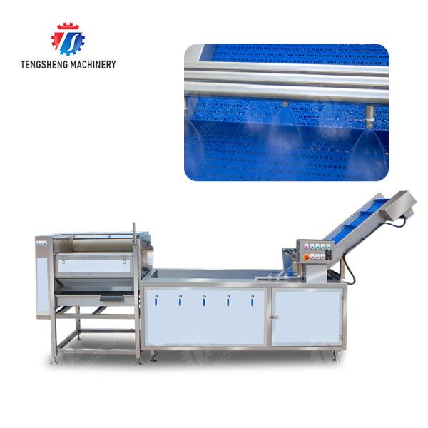 Quality Citrus cleaning production line Fruit Orange Wash Washer Washing Cleaning Dryer for sale