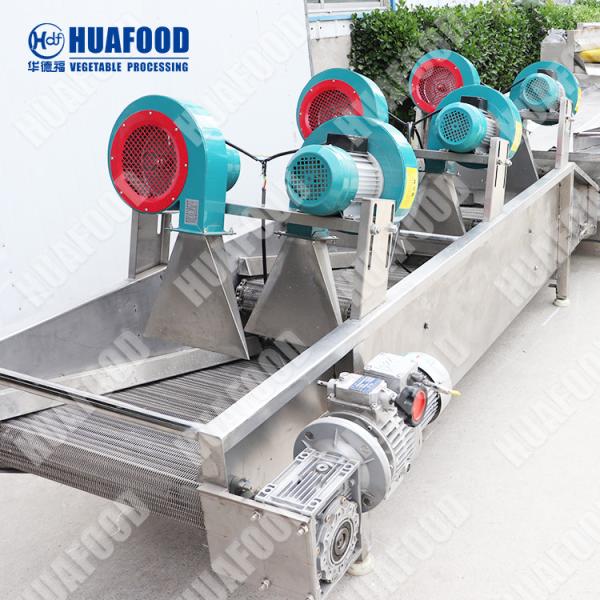 Quality Automatic Vegetable And Fruit Washing Machine Apple Juicer Machine Line for sale