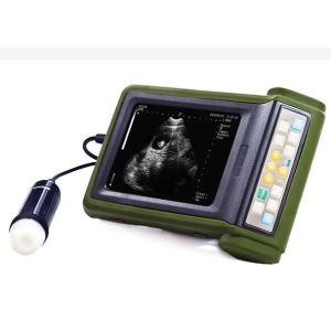 china Portable Veterinary Ultrasound Scanner With 3.5MHz Waterproof Mechanical Sector
