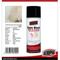 Quality Stain Block Aerosol Spray Paint Wall / Ceilling Anti Mould Paint Dry Place Storage for sale
