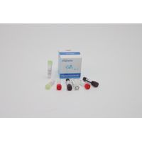 Quality ORF1ab HPV PCR Detection Kit Nucleic Acid Genetic Testing For Clinical Diagnosis for sale