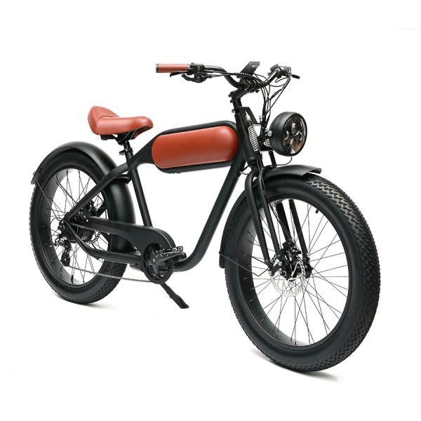 Quality Rear Hub Motor Vintage Electric Bike Adult Fat TIire E-Bike with Combo Set Offered 3 for sale