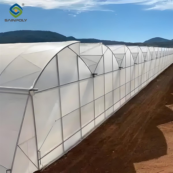 Quality Simple Multi Span Commercial Gothic Type Greenhouse Wind Resistance for sale