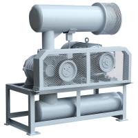 Quality Iron Custom Three Lobe Roots Blower 10-80kpa Discharge Differential Pressure for sale