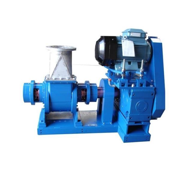 Quality Carbon Steel Adjustable Speed OEM Render Pump for sale