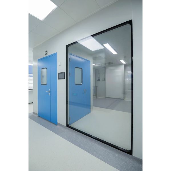 Quality HE201 0.8mm Galvanized Steel Sandwich Clean Room Door for Food Industrial for sale