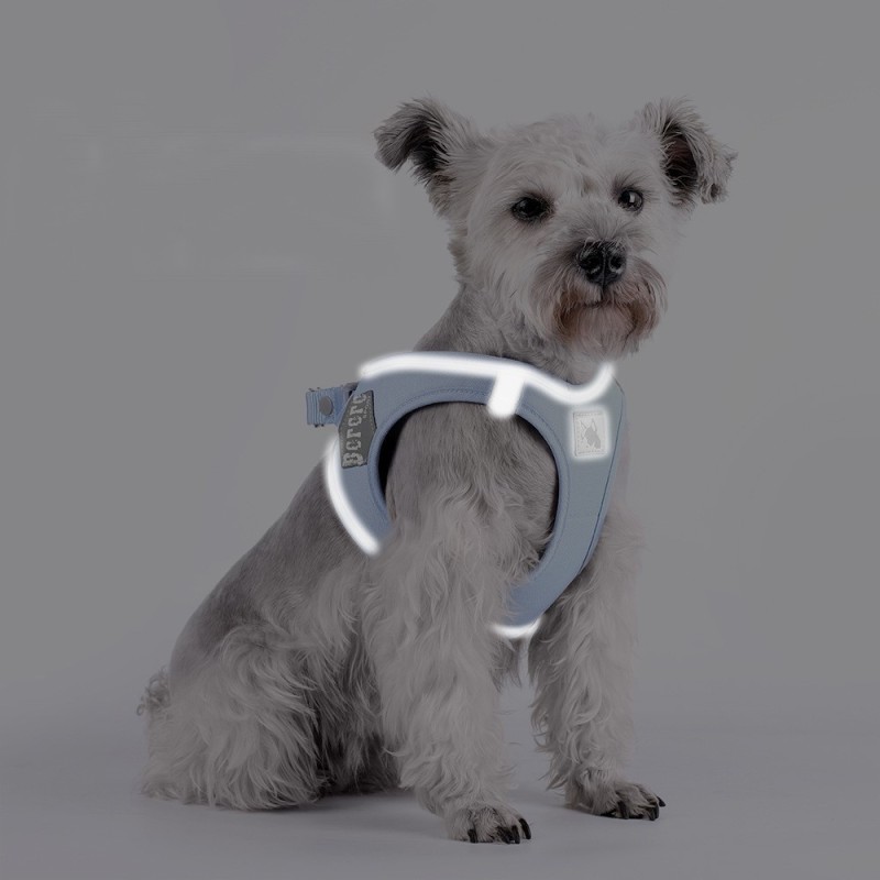 xs kitten harness 