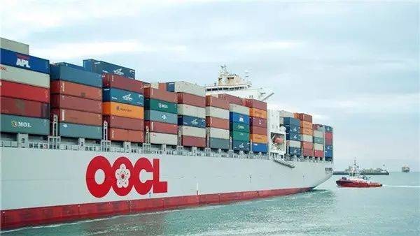 Quality International Walmart Shipping From Shanghai Ningbo Xiamen Foshan Lingyi Qingdao for sale