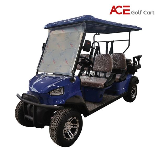 Quality Luxury EV Golf Cart Blue Color Custom 6 Seater Golf Cart for sale