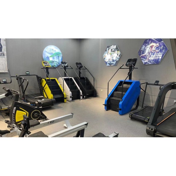 Quality Customized Logo Availabled Stepper Machine for Strength Training at Commercial for sale