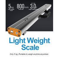 Quality New Type Pallet Beam Scale with Blue Tooth Printer for Logistics and Warehousing for sale