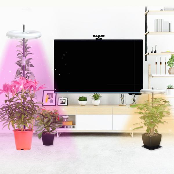 Quality 9W Height Adjustable LED Growth Lamp 4000k For Indoor Desk plant for sale