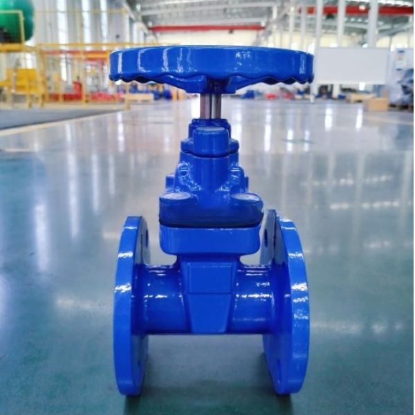 Quality GGG50 PN16 DIN Rising Stem Gate Valve Resilient Seat DI Gate Valve for sale