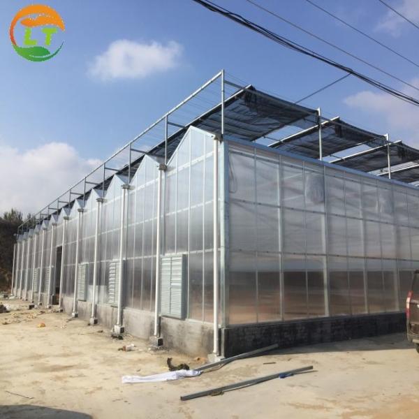 Quality Economical European Polycarbonate Greenhouse with Roof and Side Ventilation for sale