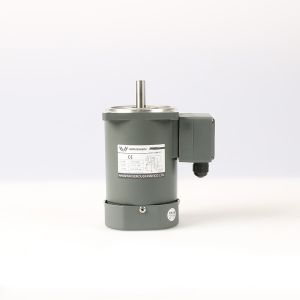 Quality 50 60Hz Single Phase Asynchronous Motor 22Nm for sale
