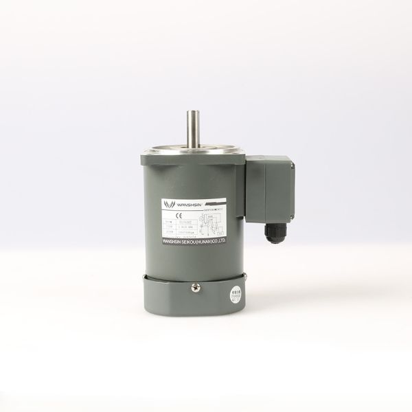 Quality 50 60Hz Single Phase Asynchronous Motor 22Nm for sale