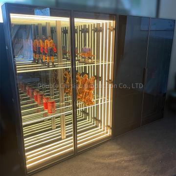 Quality Professional Customized Thickness Display Case for Commercial Space DC12V/AC110 for sale