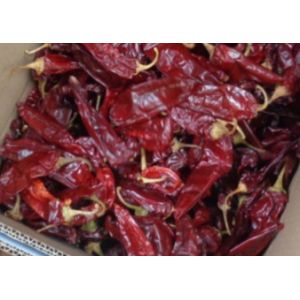 Quality Dried Guajillo Chili for sale