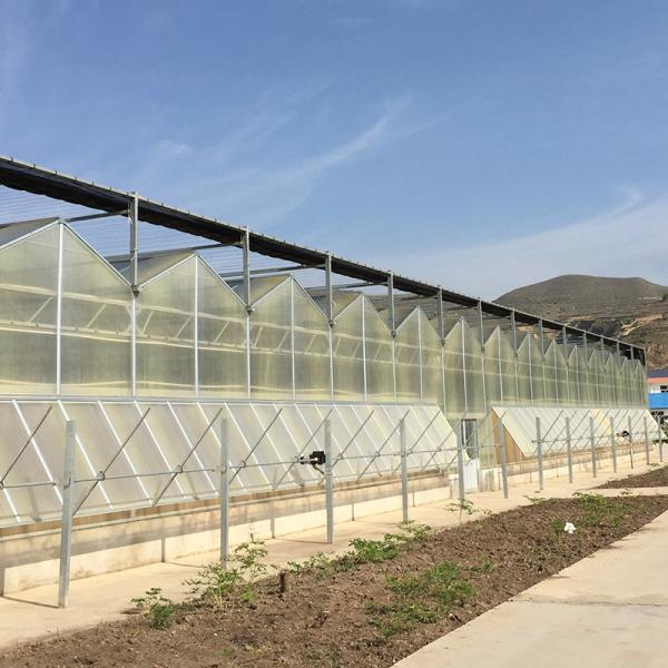 Quality Multi-Span Agricultural Greenhouses for Sustainable Fruits and Vegetables for sale