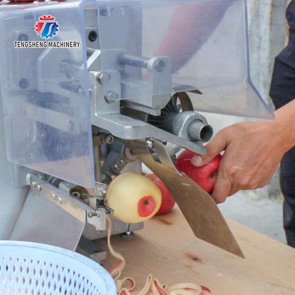 Quality 0.55KW Divide Core Fruit And Vegetable Peeler Machine SS Apple Core Separator for sale