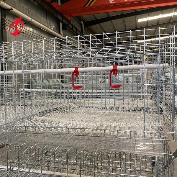 Quality Poultry Farm Broiler Chicken Cage 3 Tiers , A Type Battery Cage For Broilers for sale