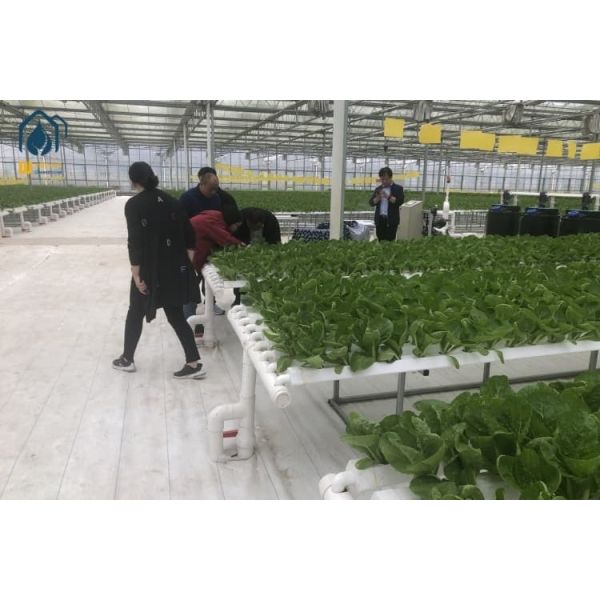 Quality 100*50mm Hydroponic Growing System Indoor NFT Hydroponic Channel Customized For for sale