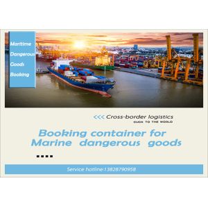 Quality 20FT 40FT International Sea Freight Forwarding , DDP Shipping From China To for sale