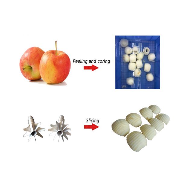 Quality Apple Peeler Corer Cutter Machine Apple Skin Separating Machine Automatic Apple for sale