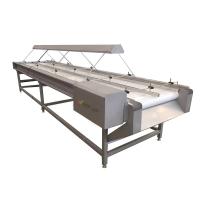 Quality 220v/ 380v Stainless Steel 304 Nut Selecting Conveyor Belt for Raisin Sorting for sale