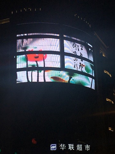 Quality SMD3535 Advertising Transparent Led Curtain Display 7800 Cd/Sqm for sale