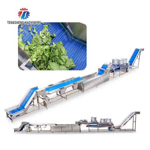 Quality vegetable drying equipment Fruit and vegetable selection washing and drying for sale