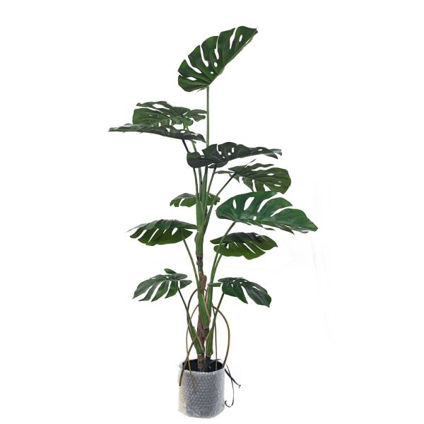 Quality Green Monstera Artificial Potted Floor Plants 180cm Height for sale