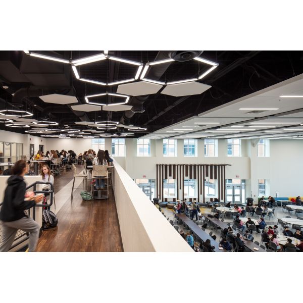 Quality RAL Black Ceiling Baffles Wood Wool Cement Acoustic Panels Sound Absorption Board for sale