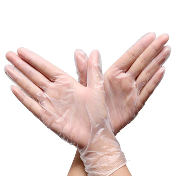 Quality Food Grade Disposable Powder Free Transparent Vinyl Gloves for sale