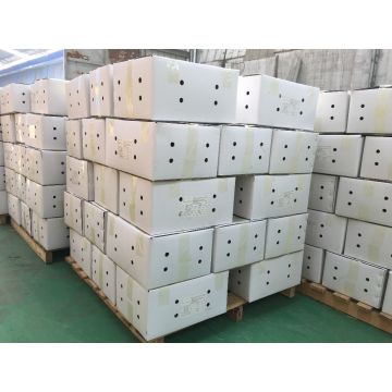 Quality AD Dried Yidu Chilli Round Shape 8000SHU Mild Dried Red Chilies for sale