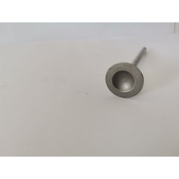 Quality Peugeot 206 1.6 16V TU5JP4 Diesel Engine Valve Car Exhaust Valve 54292014 for sale