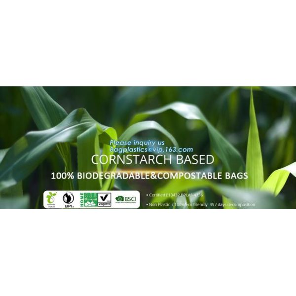 China YANTAI BAGEASE PACKAGING PRODUCTS CO.,LTD. company profile 7
