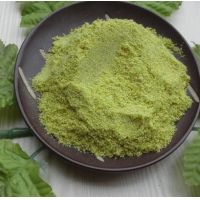 Quality Sushi Foods Pure Wasabi Powder A B C Grade Green Color wasabi for sale