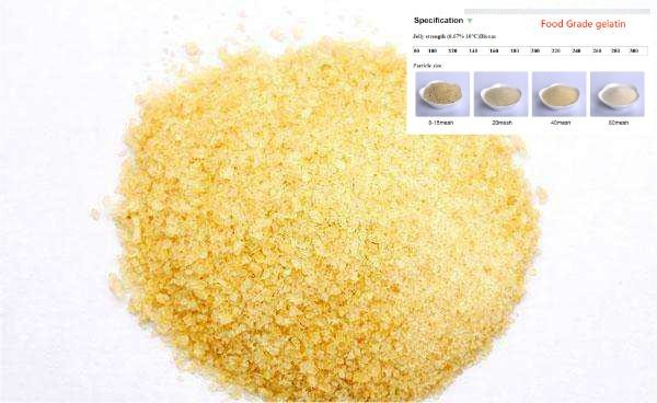 Quality Low Ash Content Grass Fed Gelatin High Gel Strength for sale