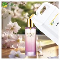 Quality High Concentration Perfume Fragrances Daily Flavor Essential Oil Perfume for sale